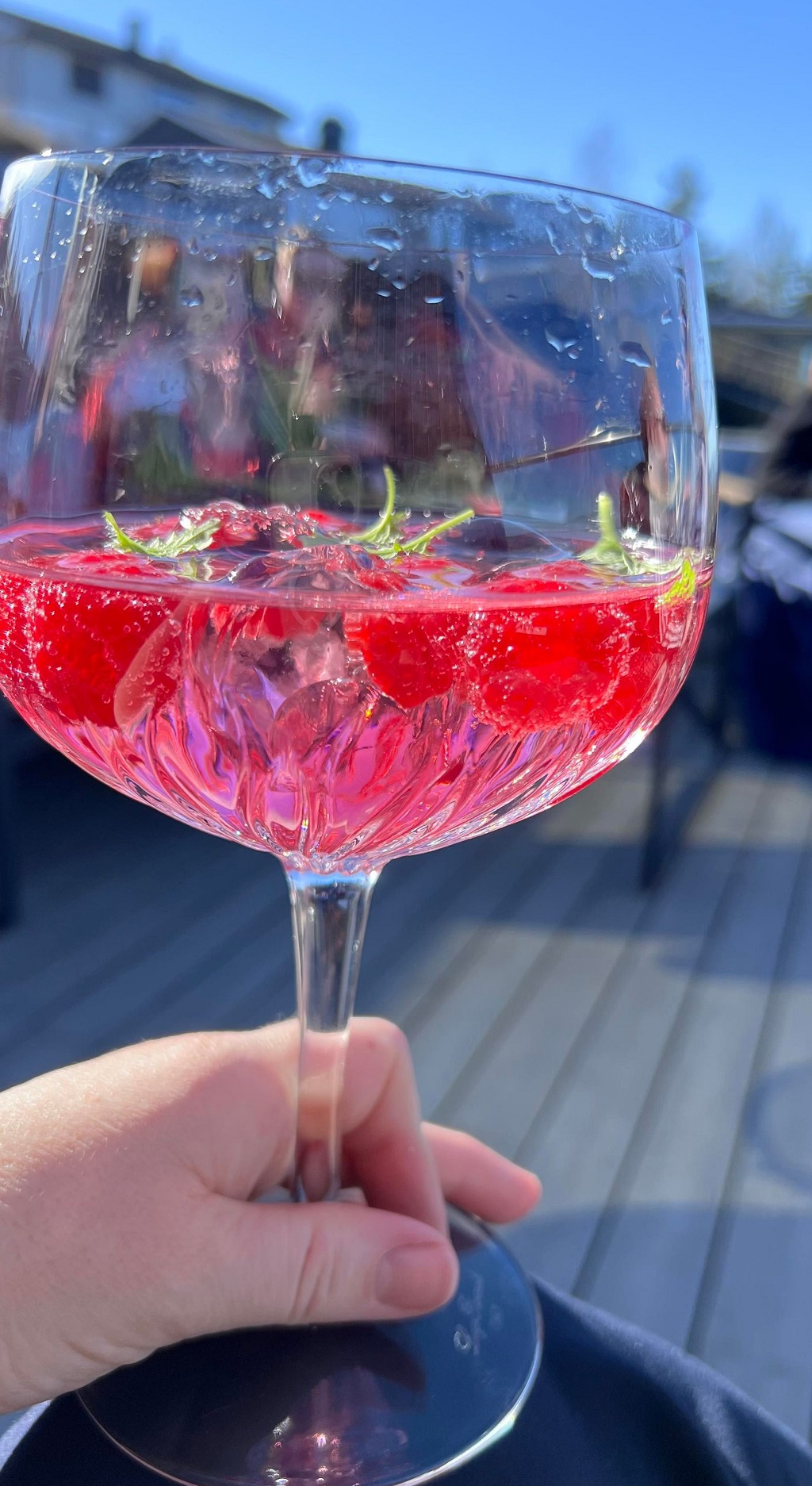 Gin & Tonic - Rosa GT | Oppskrift Idéfull.no - Inspirert av Tove Holter